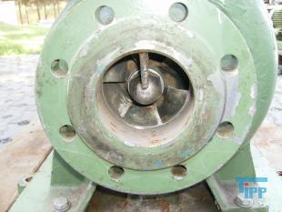 used Centrifugal pump - 16686 - Typ: CBS - Producer Halberg - TIPP ...